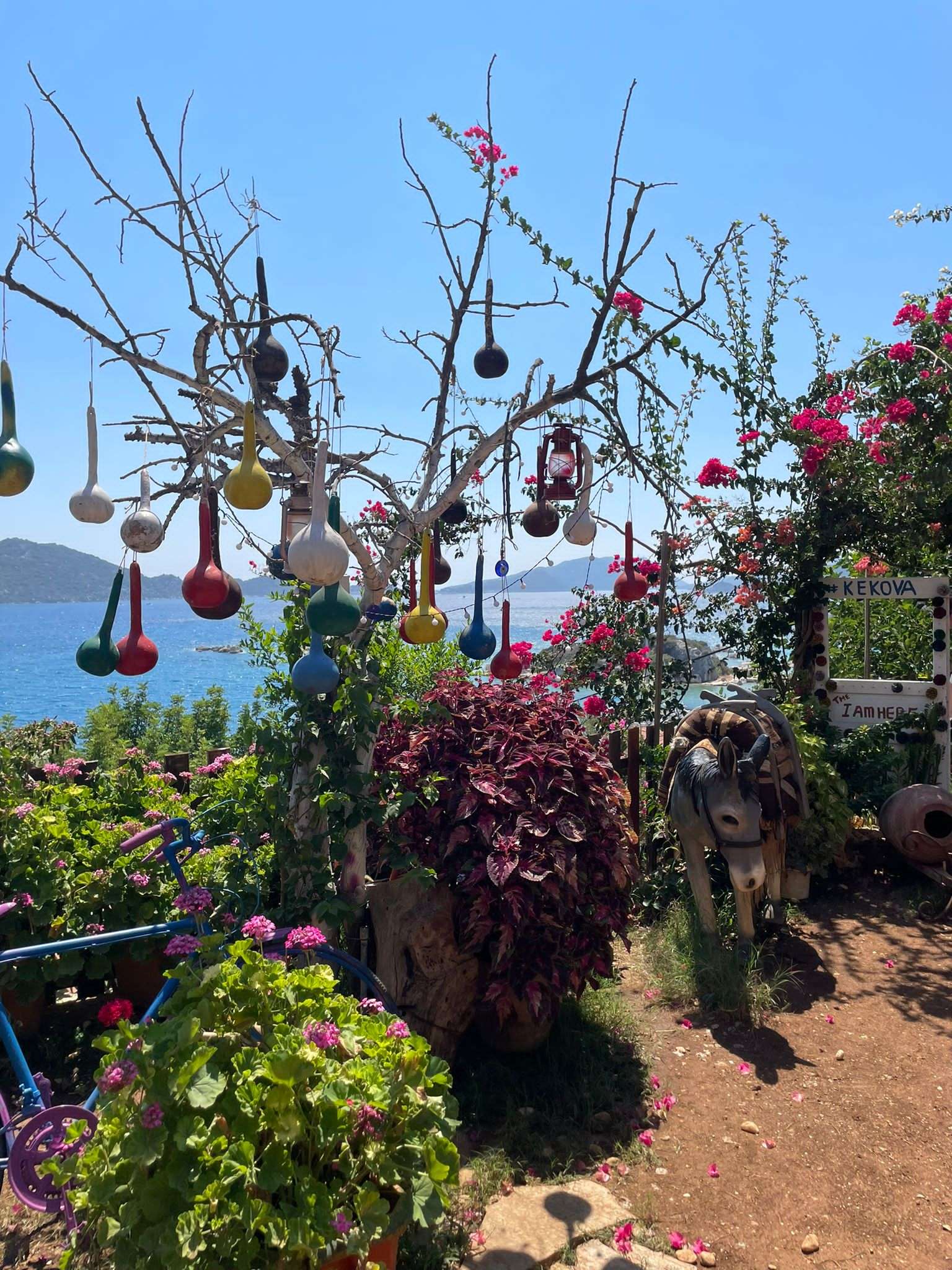 🇹🇷 Circuit "Turquie dorée" à Antalya - DEVELOP'MENT' Voyages